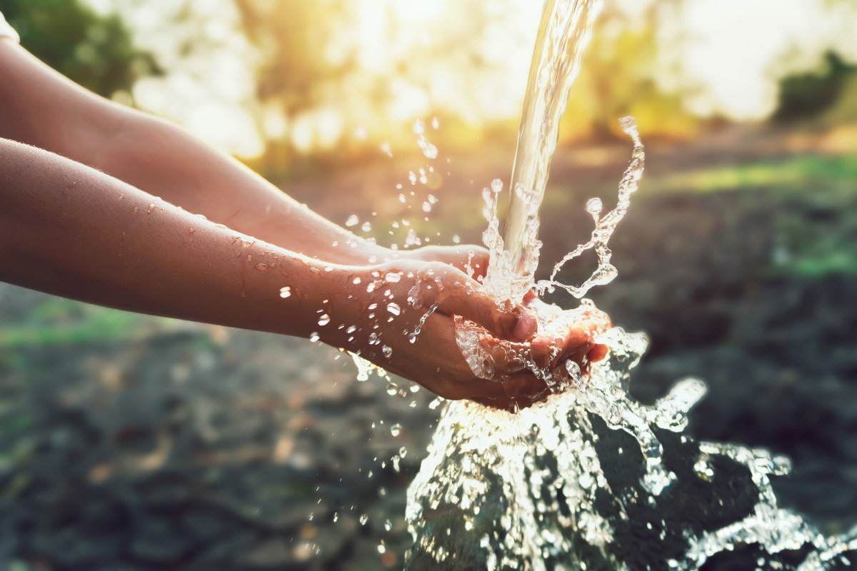 The Importance of Water Collection: Baby Steps to Preparedness Week 3 ...